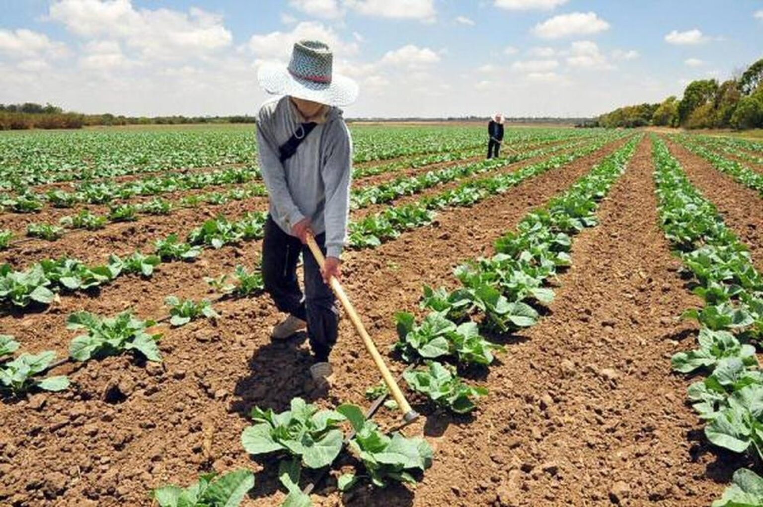 Continuarea proiectelor PNDR 2014–2020 în Planul PAC 2023–2027