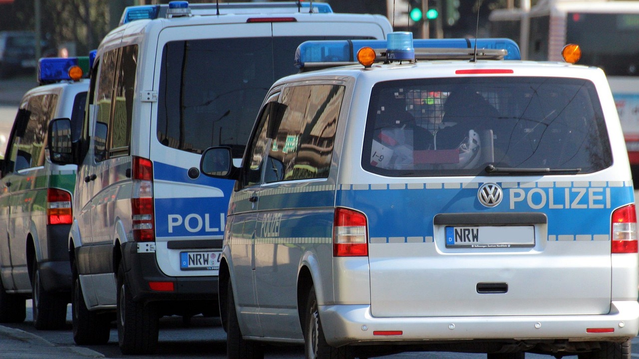 Numărul infracțiunilor comise de copii în Germania a crescut ...